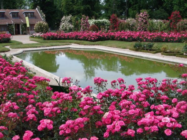 Val-de-Marne Tourisme (94), Loisirs, activités & sorties proche Paris