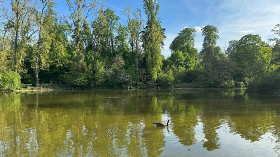 A la découverte des quatre lacs du bois de Vincennes